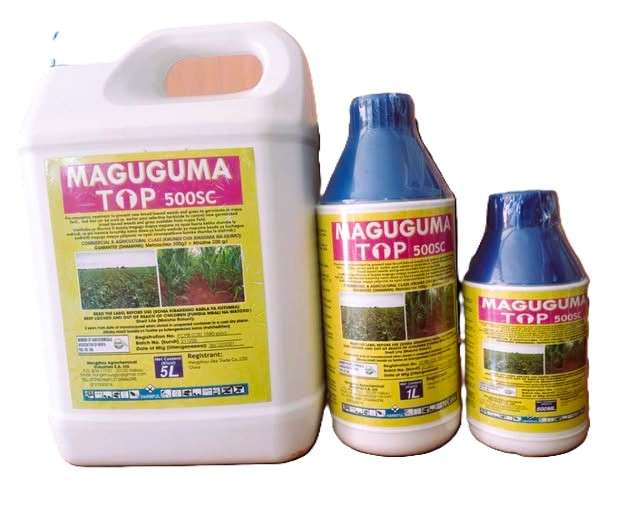 MAGUGUMA TOP 500SC